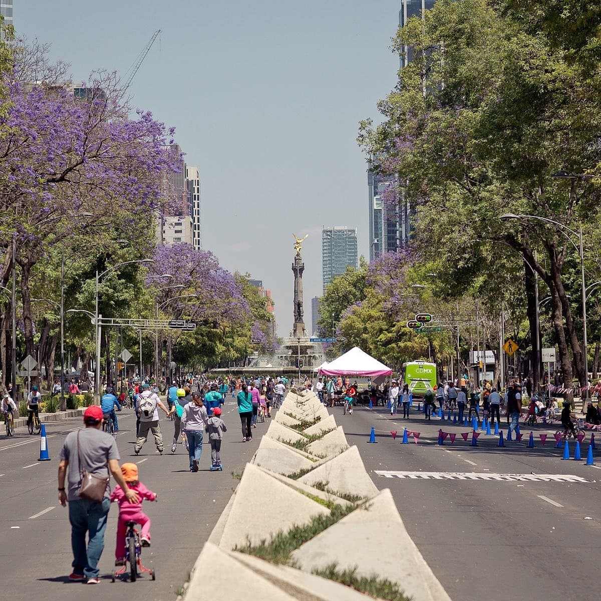 5 Fun Things to Do in Mexico City with Kids