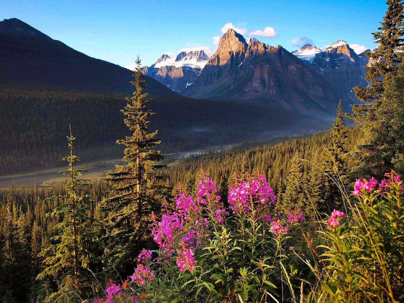 Summer Fun in Banff National Park with Kids