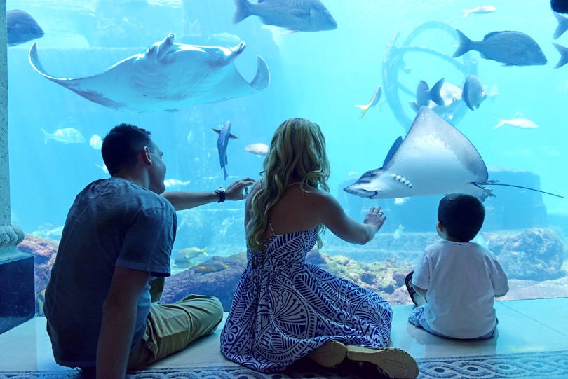 Atlantis Bahamas with Kids | Tips for Family Fun at Atlantis Resort