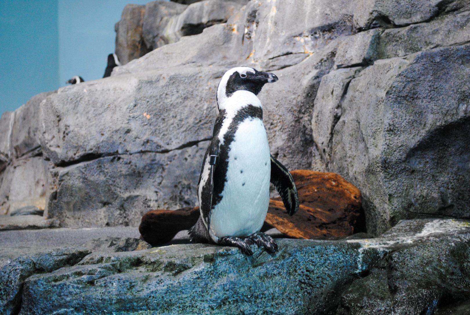 15 Most Romantic Things to Do in Monterey, California
