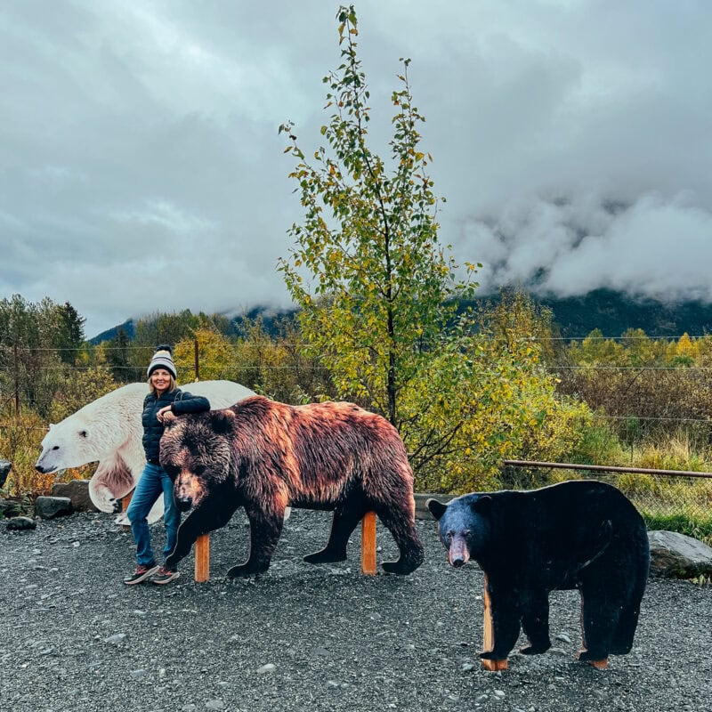 Where to See Bears in Alaska (Brown, Black & Polar)